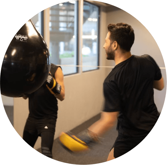 estudio de box – kinezis