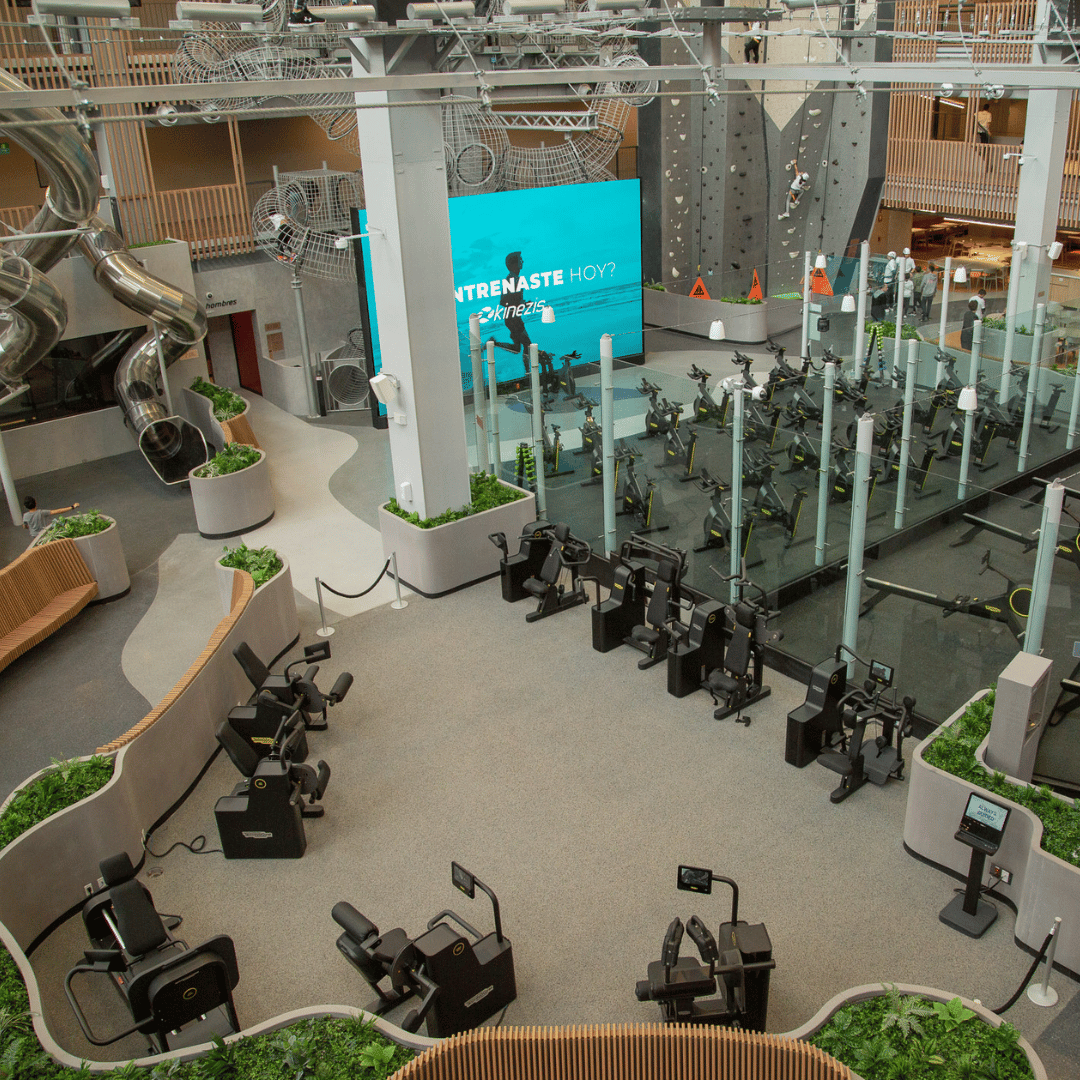 quienes somos – kinezis