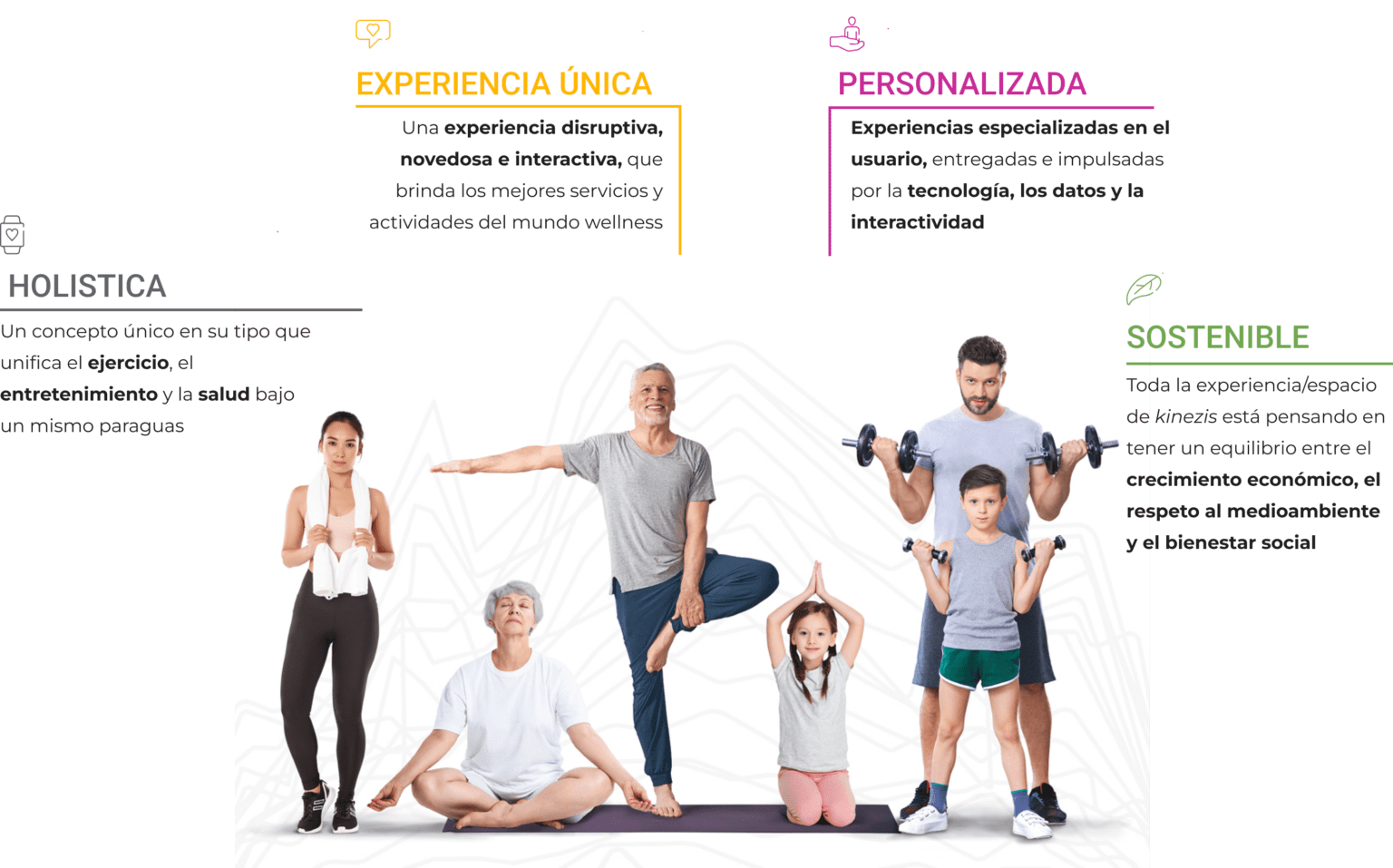 barra de tracción – kinezis