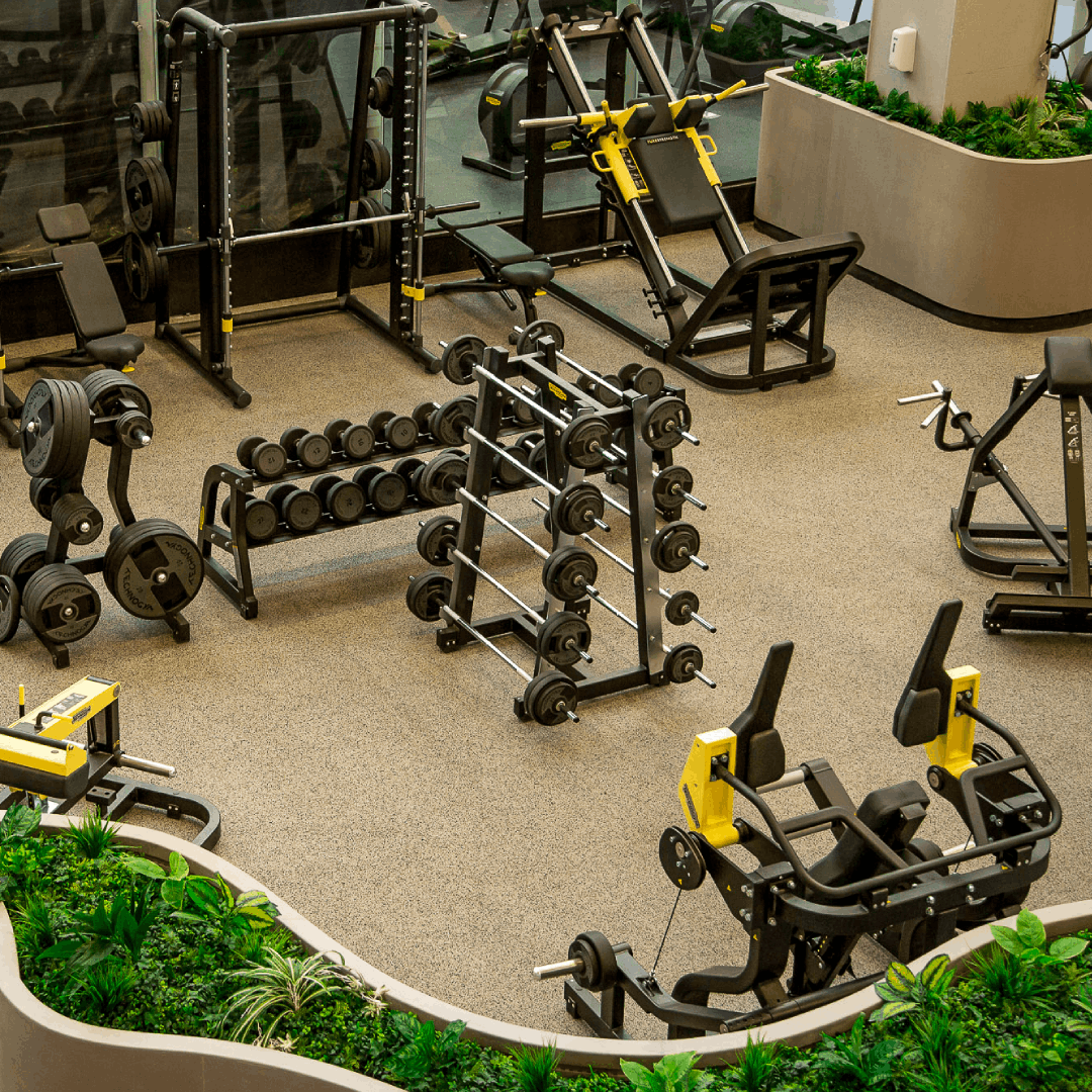 kinezis fitness 2 – kinezis