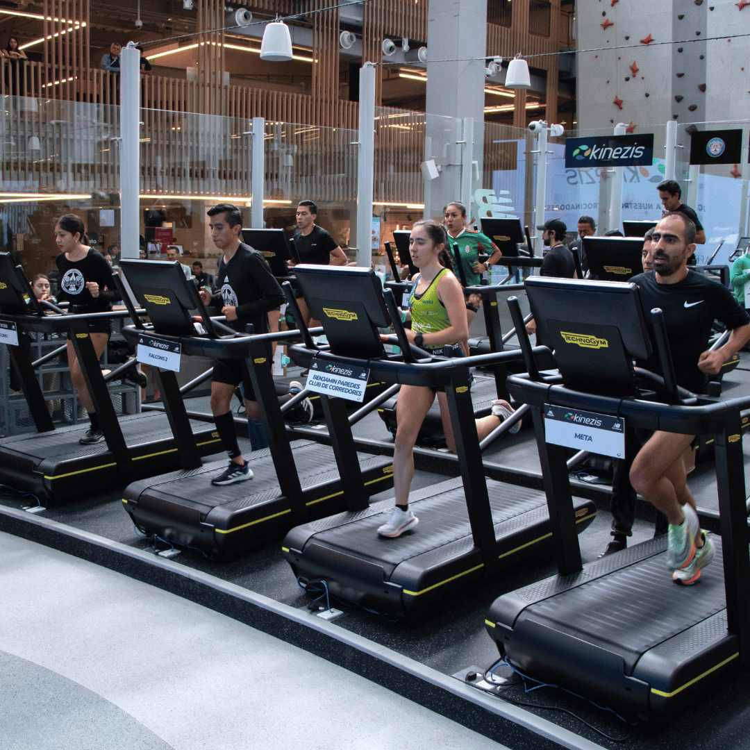 Noticias – kinezis